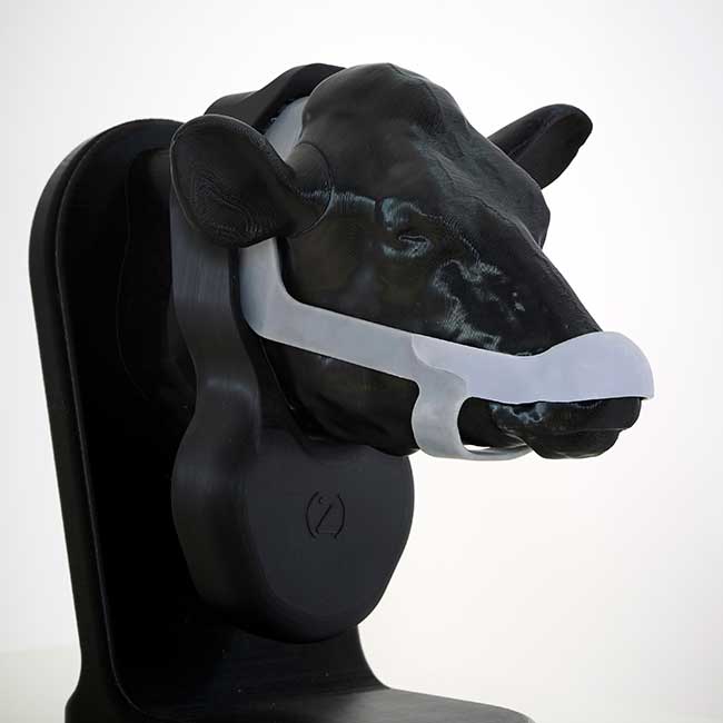 Europe ByDesign: Innovations | Zelp