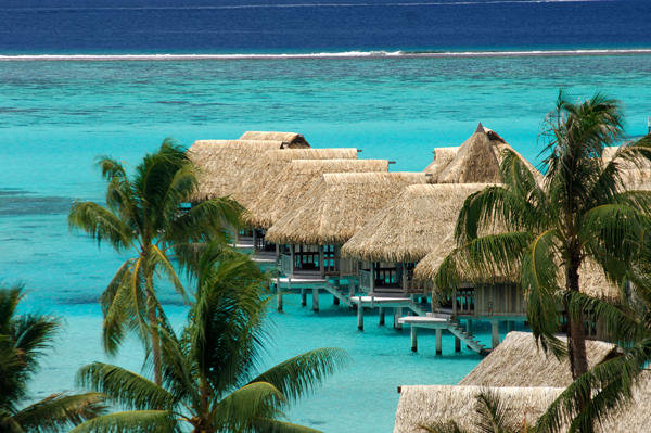Moorea | Venture Tahiti