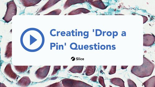 Revolutionising Biomedical Education - Best Network