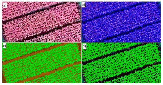 How Computer Vision in Agriculture Is Boosting Productivity and Yields ...