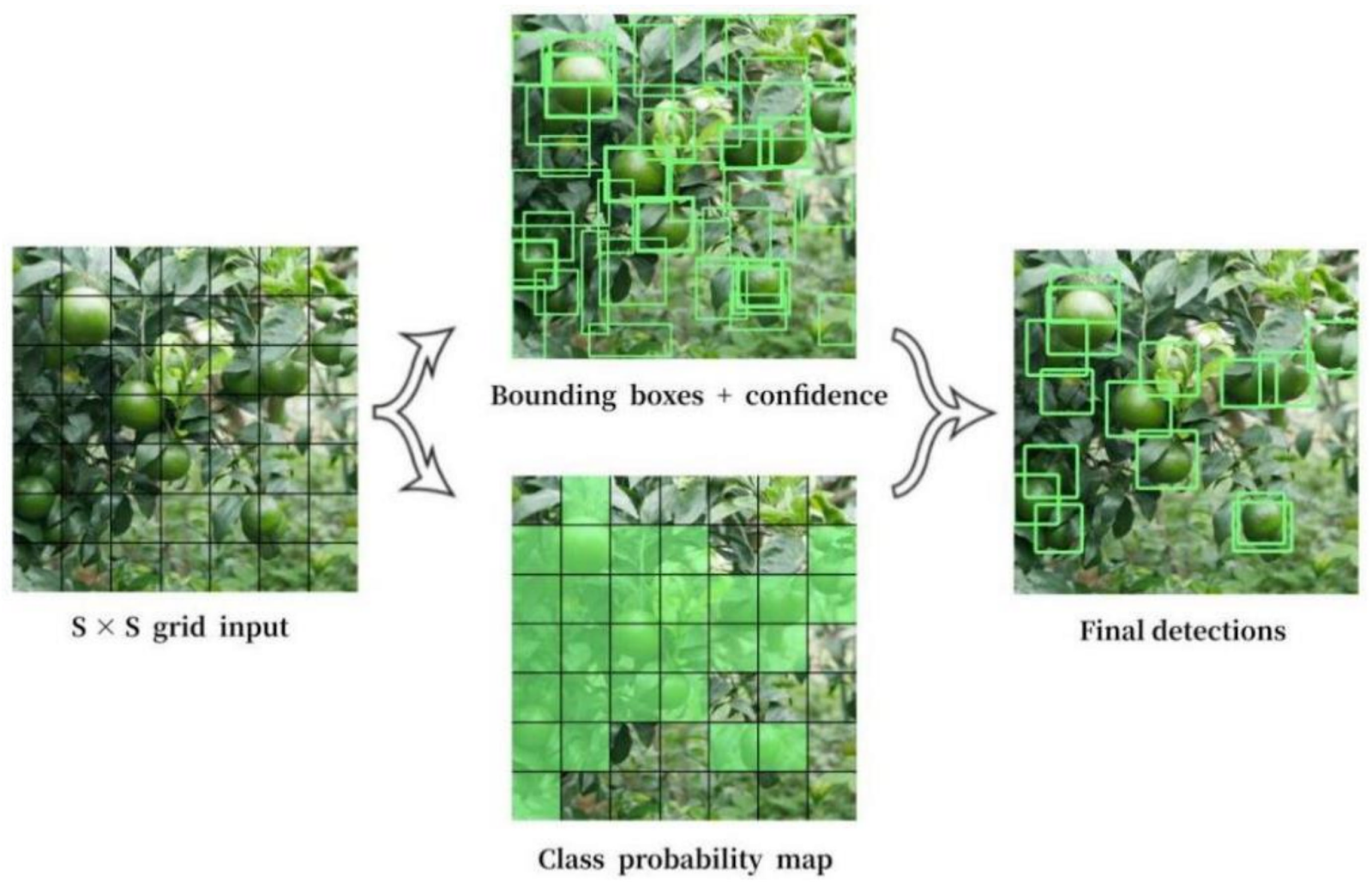 How Computer Vision in Agriculture Is Boosting Productivity and Yields ...