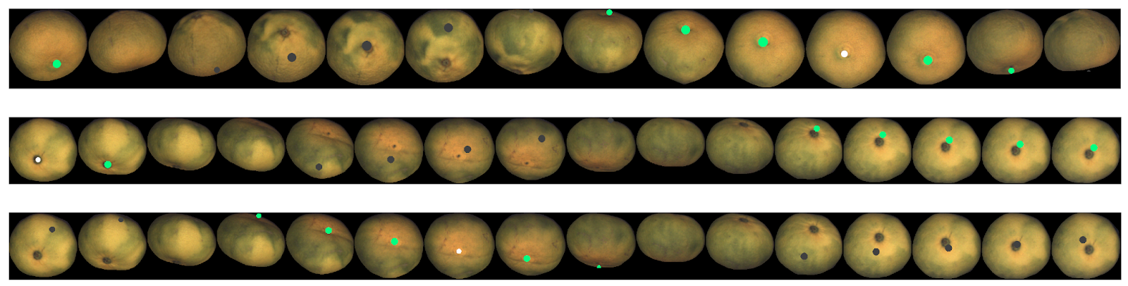 How Computer Vision in Agriculture Is Boosting Productivity and Yields ...
