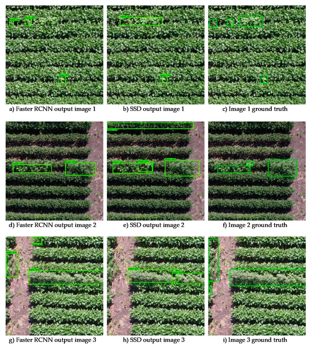 How Computer Vision in Agriculture Is Boosting Productivity and Yields ...