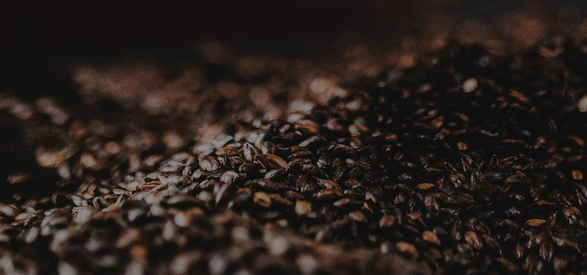 Budvar Dark Lager – Budějovický Budvar n. p.