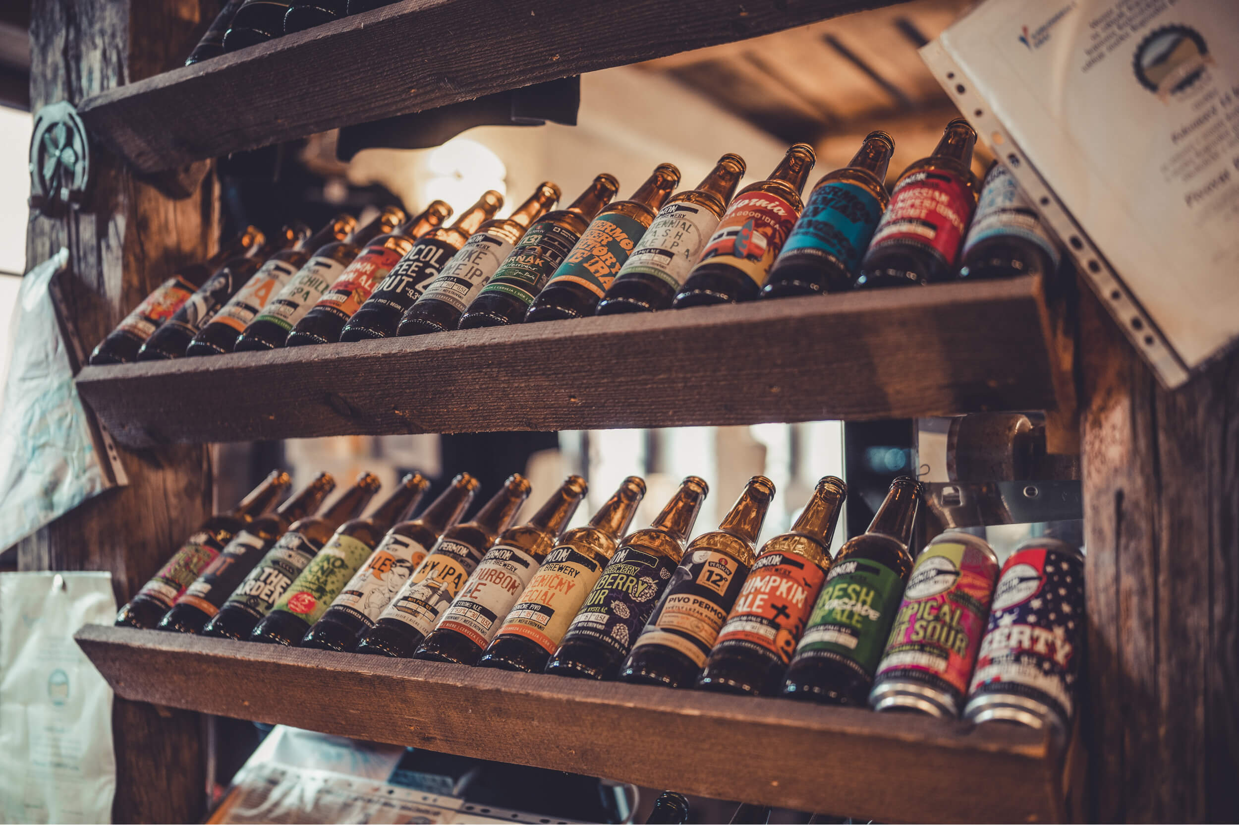 Ležák, IPA, Pale Ale… Znáte své pivo? | Budějovický Budvar
