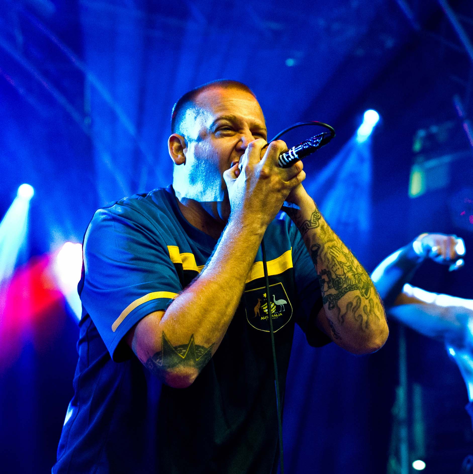 Artists: Concert Reviews & Live Ratings | LiveRate