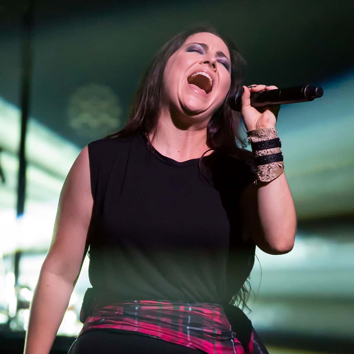 Evanescence - Concert Reviews | LiveRate