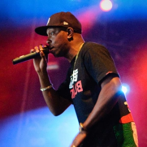 Dizzee Rascal - Concert Reviews | LiveRate