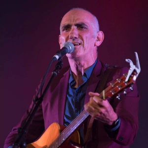 Paul Kelly - Live Tour & Concert Review Consensus | LiveRate