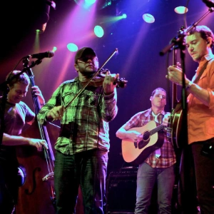 The Infamous Stringdusters - Concert Reviews | LiveRate