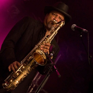 Allen Toussaint - Live Tour & Concert Review Consensus | LiveRate