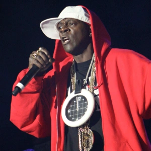 Public Enemy - Live Tour & Concert Review Consensus | LiveRate