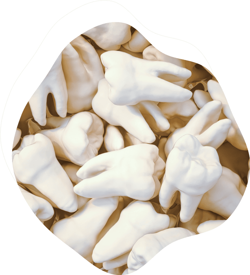 Wie lange darf ich nach einer Zahnfüllung nichts essen?