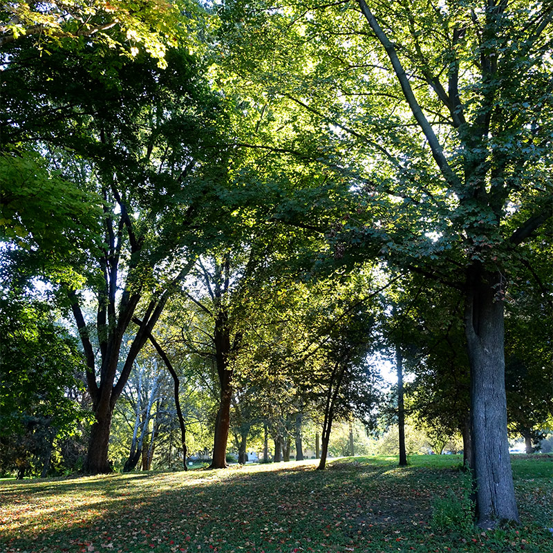 Contact Us — San Damiano Monona