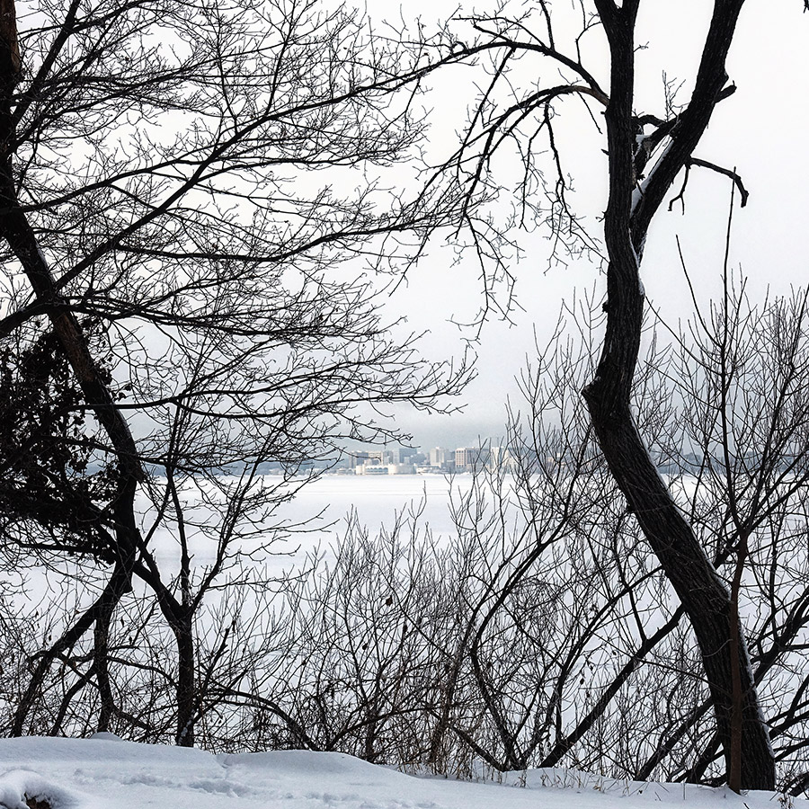 Contact Us — San Damiano Monona