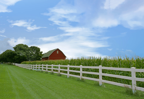 What is the Mediation Process Like in Iowa Farm Foreclosure Cases?