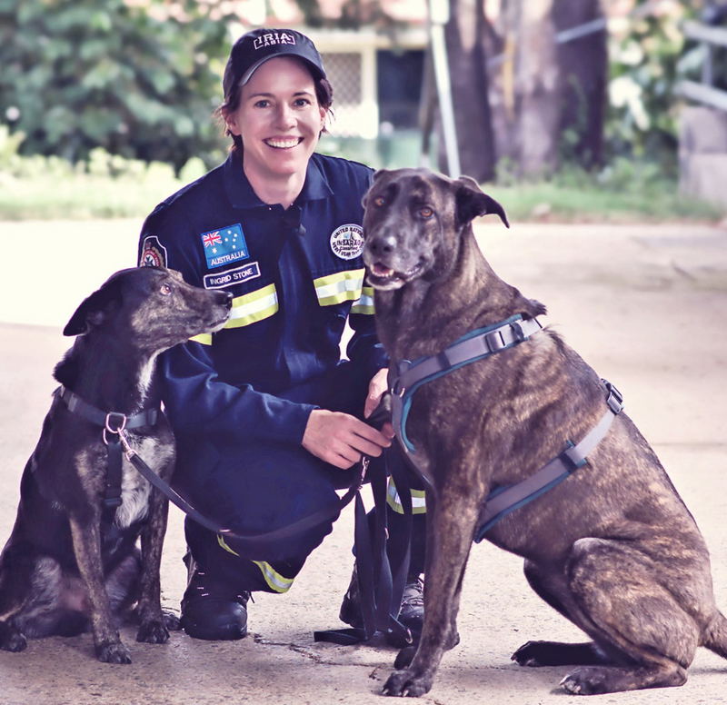 Pet Euthanasia at Home Near You in Australia | Cats, Dogs & More ...