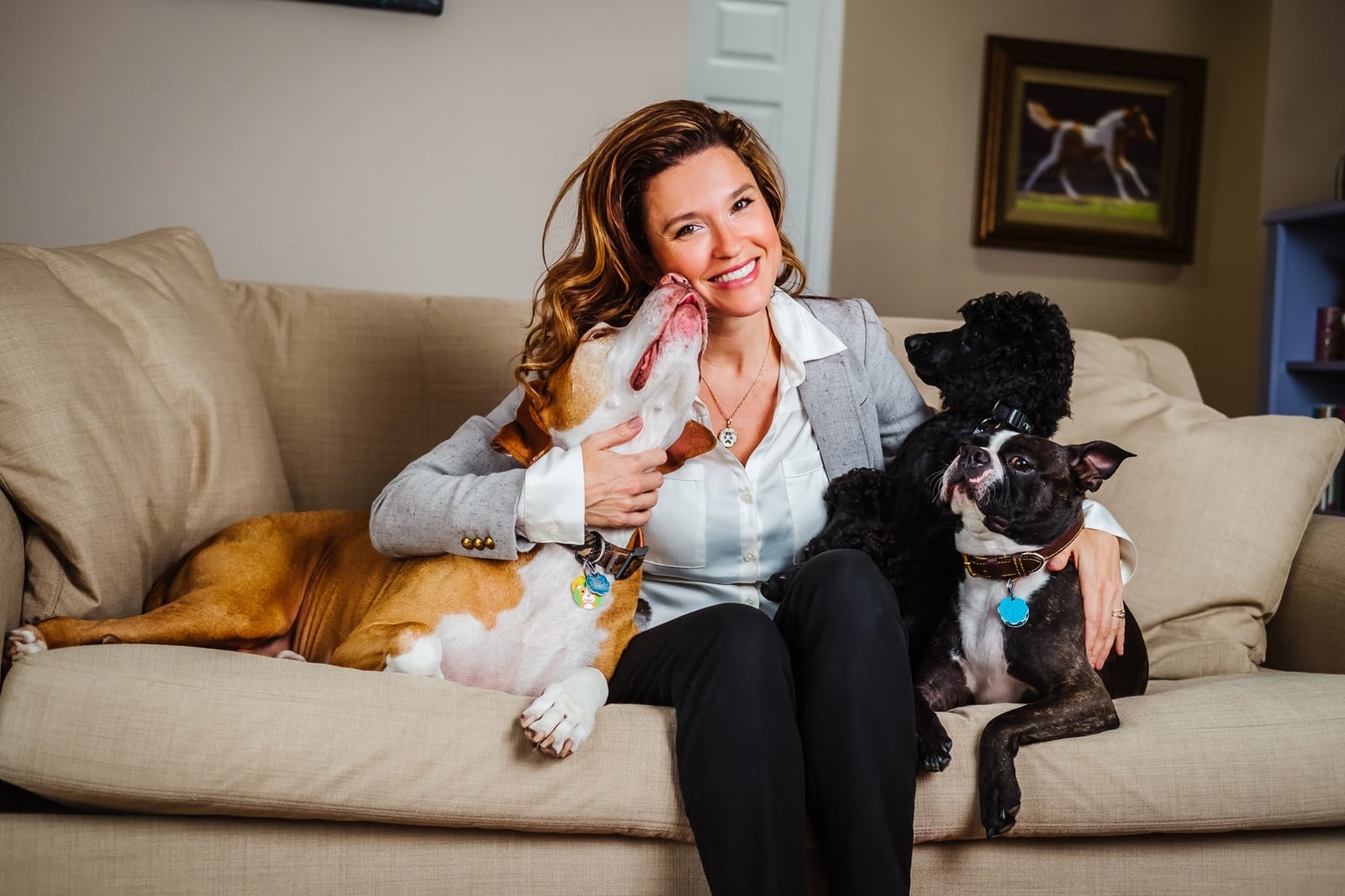 How will I know when it’s time to euthanise my pet?