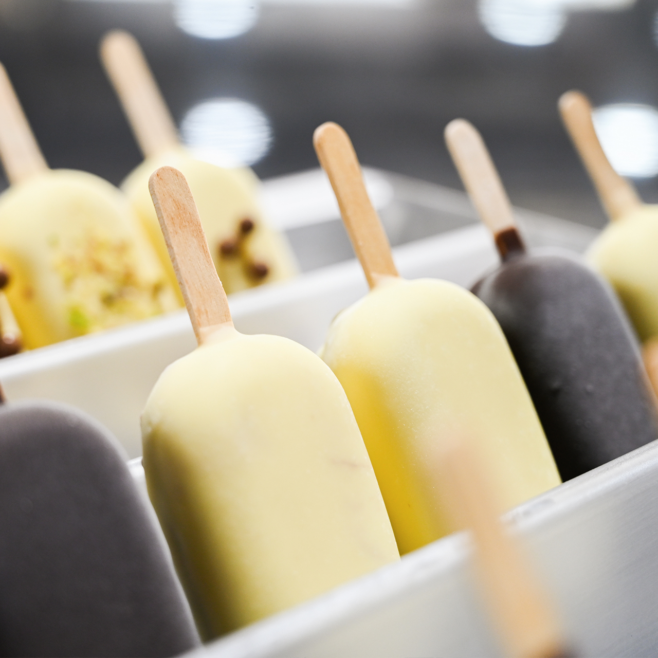 Carpigiani Gelato University Approved Authentic Italian Gelato Making ...