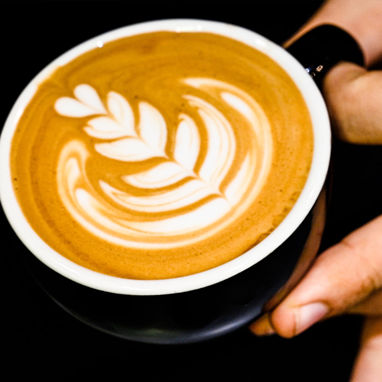 Best Professional Barista Training Course in Dubai - Artisanal Coffee ...