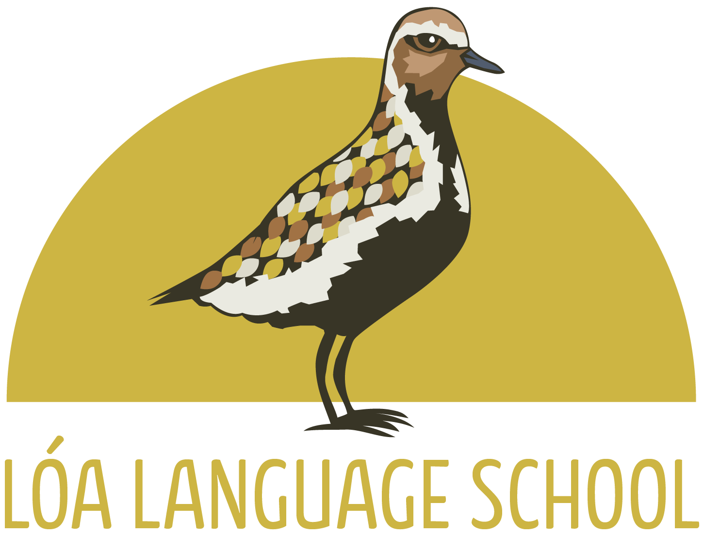 Online Icelandic Courses