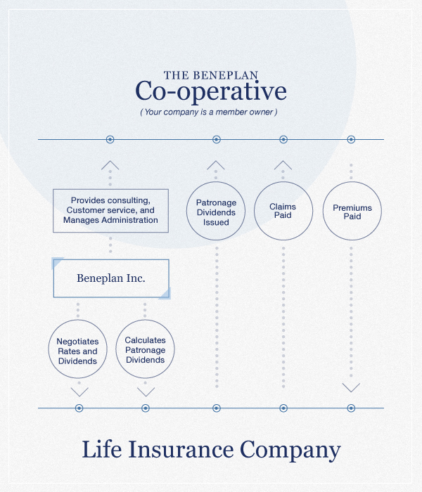 Beneplan - The Beneplan Co-operative