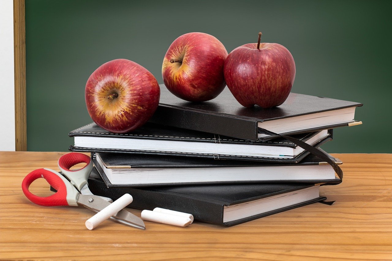 Learning Language: App vs. Class vs. Private Tutor