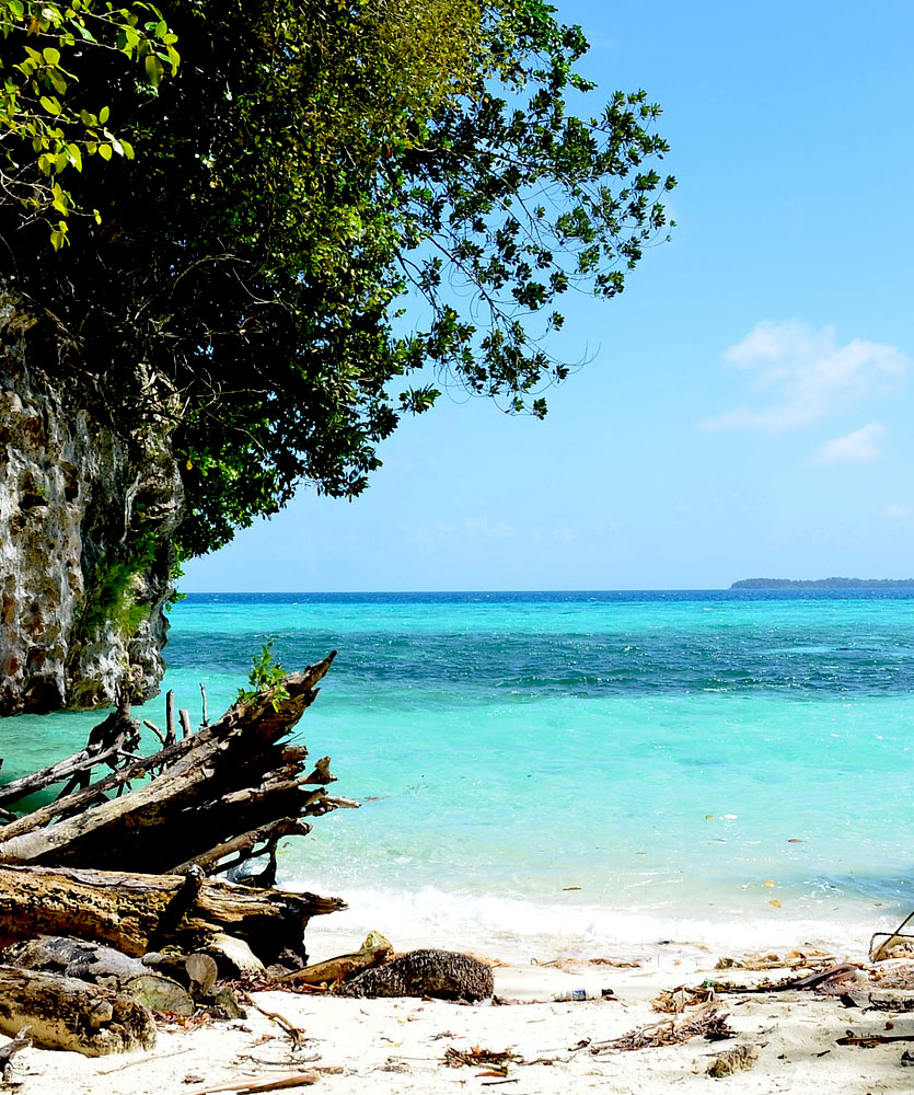 Palau Digital Residency – O documento perfeito para nômades digitais ...