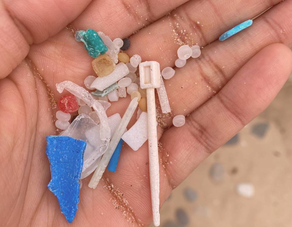 Tout ce que vous ne savez pas sur le plastique | Pimpant