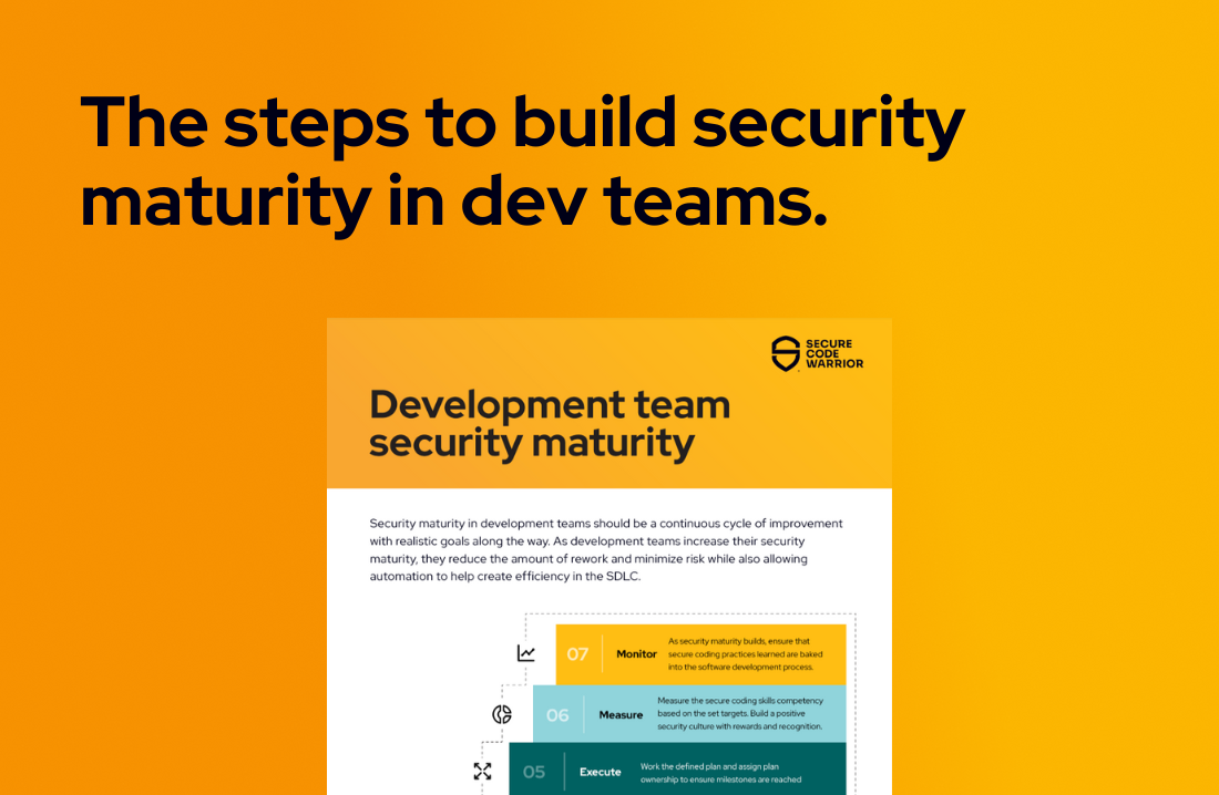 Building developer security maturity