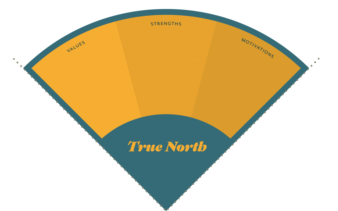 Values-In-Action Survey | The Holistic Leader’s Blog