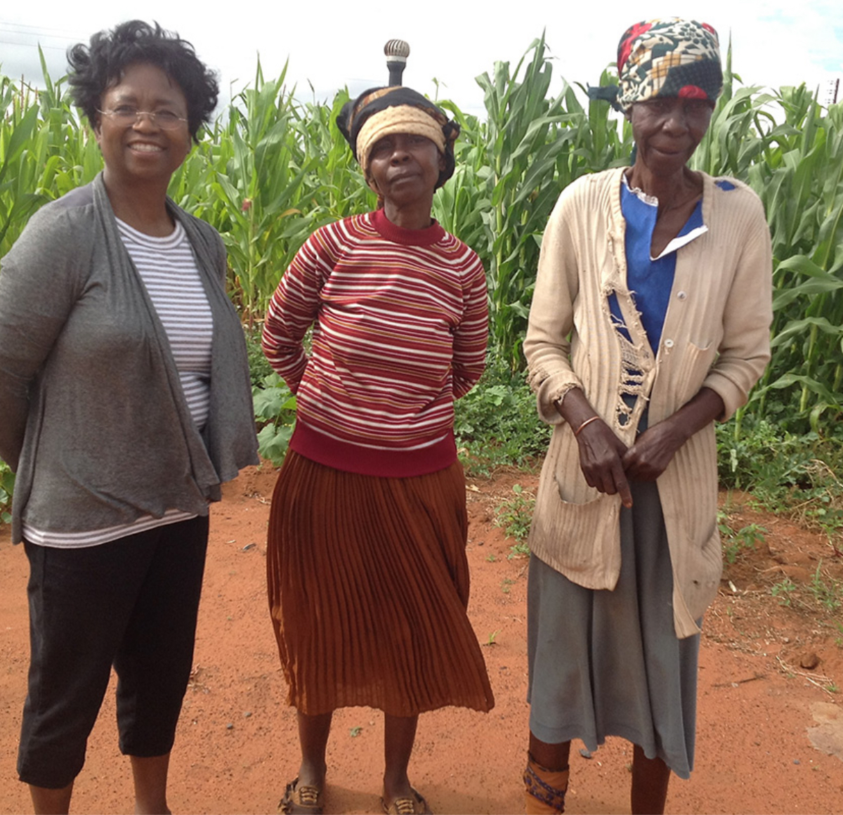 Elderly Feeding Project