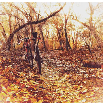 Gravel Bike Adventures | Bosque Boogie Albuquerque Gravel Route in ...