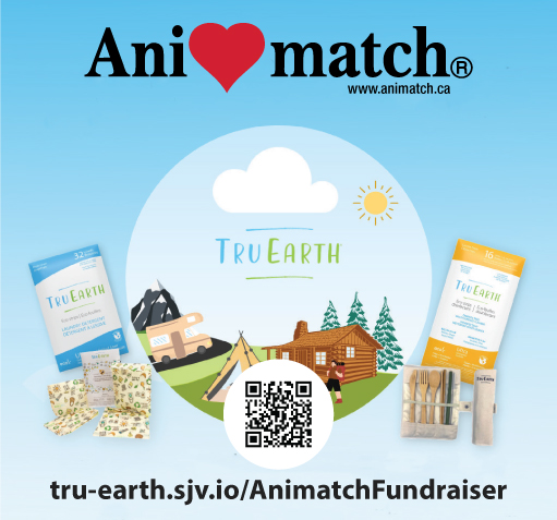 Animatch Dog Adoption Services