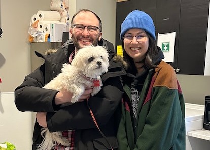 Animatch Dog Adoption Services