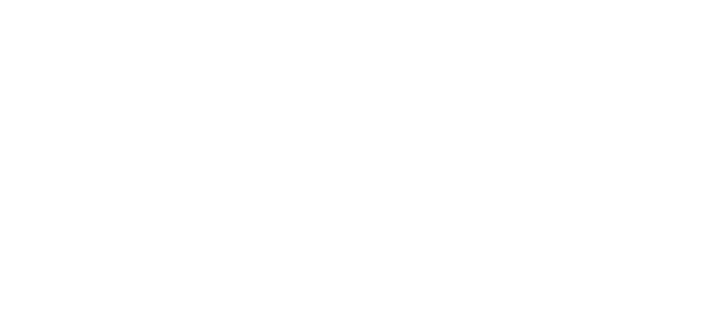 Animatch Dog Adoption Services