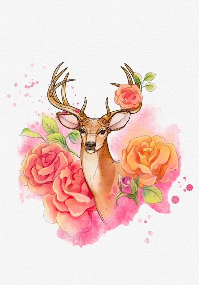 Procreate Animal Brushes 🦌 - Draw Wild Animal Outlines in Procreate ...