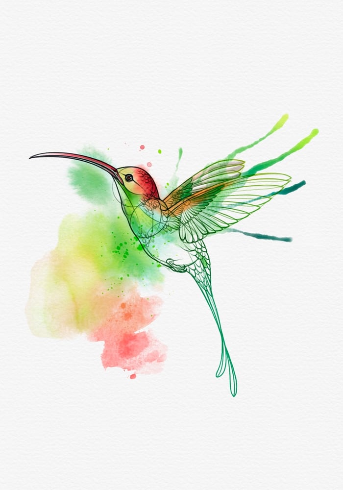 Procreate Animal Brushes 🦌 - Draw Wild Animal Outlines in Procreate ...