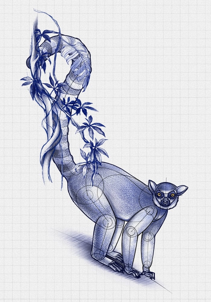 Procreate Animal Brushes 🦌 - Draw Wild Animal Outlines in Procreate ...