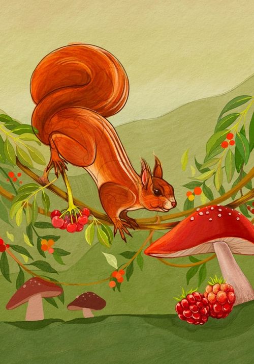 Procreate Animal Brushes 🦌 - Draw Wild Animal Outlines in Procreate ...