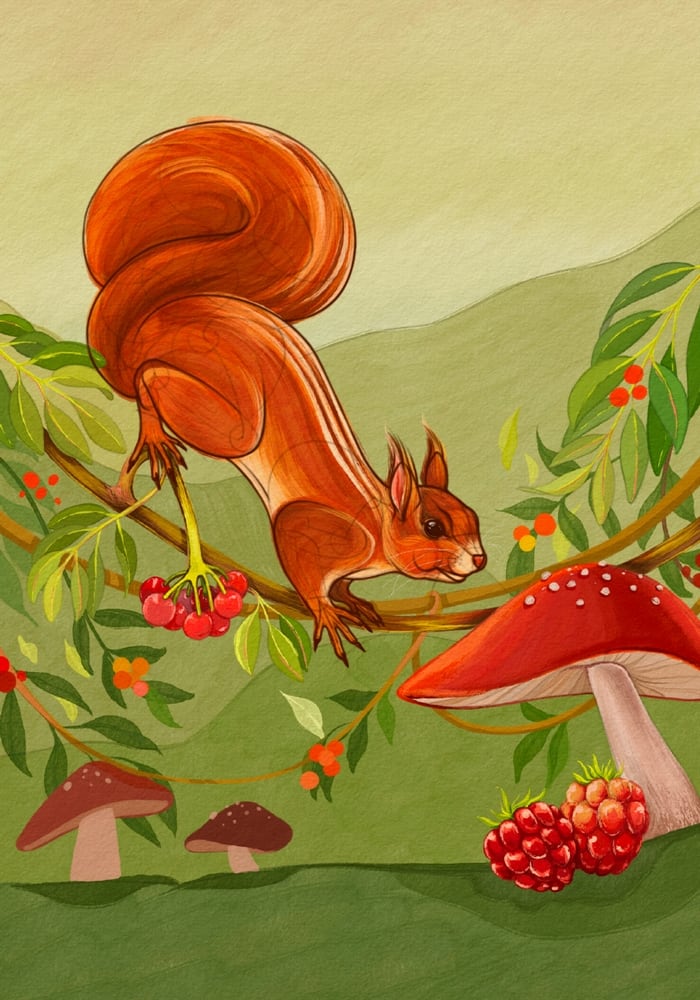 Procreate Animal Brushes 🦌 - Draw Wild Animal Outlines in Procreate ...