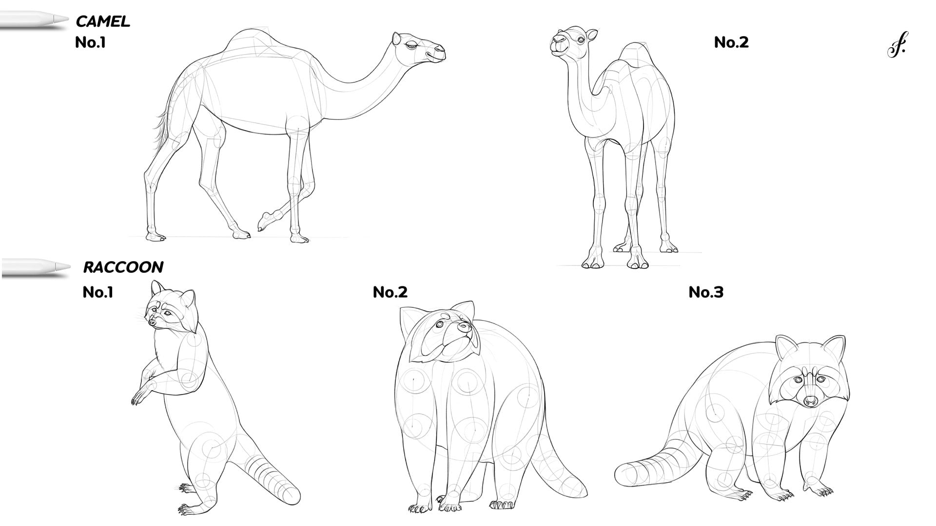 Wild Animals Together Drawing