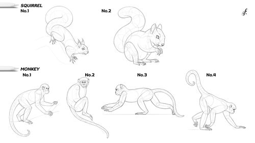 Procreate Animal Brushes 🦌 - Draw Wild Animal Outlines in Procreate ...