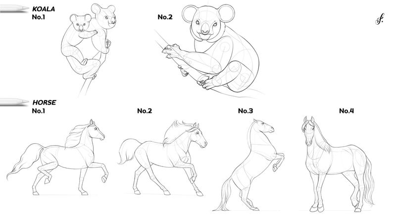 Procreate Animal Brushes 🦌 - Draw Wild Animal Outlines in Procreate ...