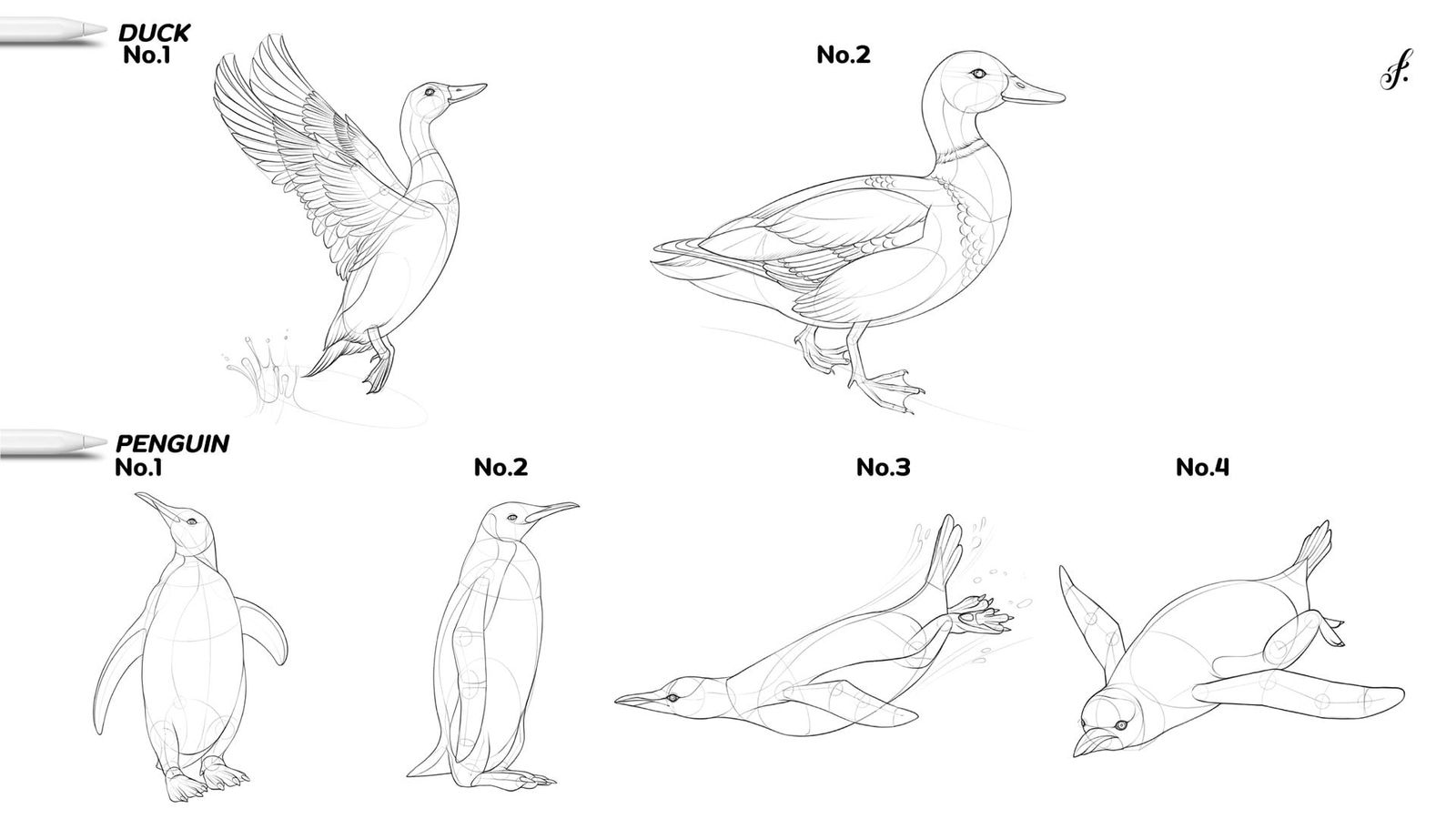 Procreate Animal Brushes 🦌 - Draw Wild Animal Outlines in Procreate ...