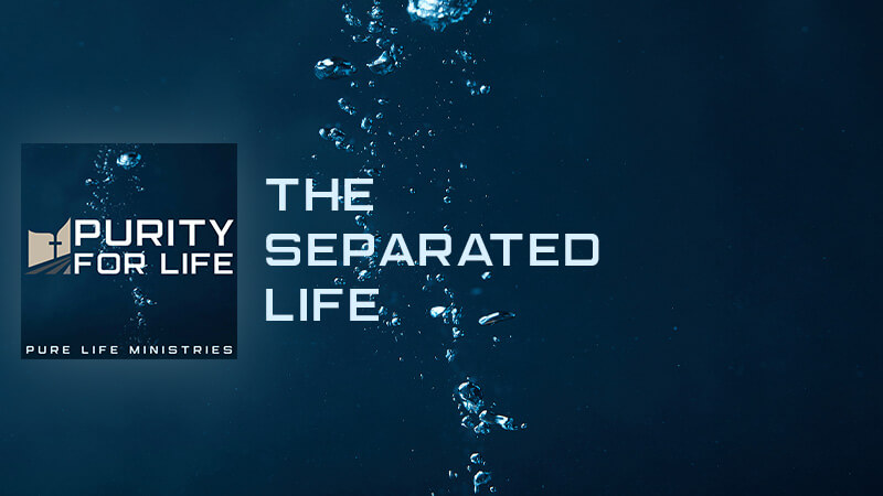 #384 - The Separated Life