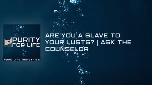 Blogs - Insight from Pure Life Ministries