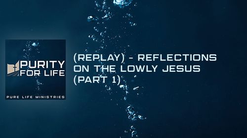 Blogs - Insight from Pure Life Ministries