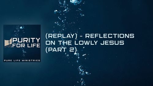 Blogs - Insight from Pure Life Ministries