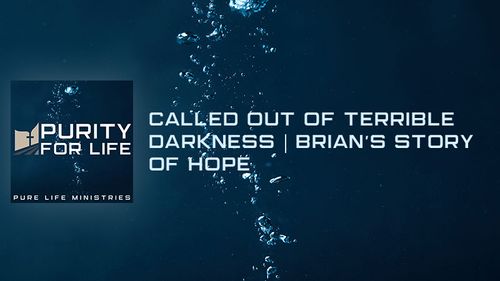 Blogs - Insight from Pure Life Ministries